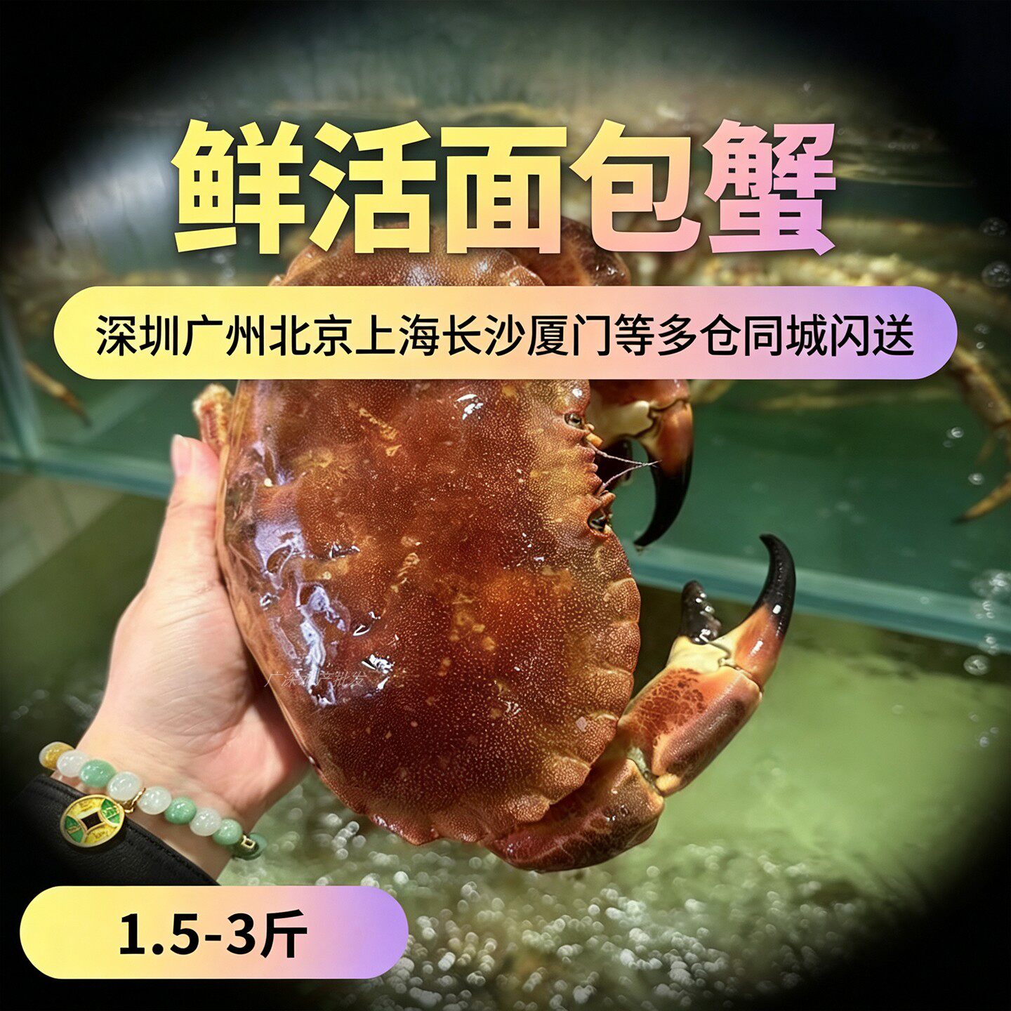鲜活英格兰面包蟹新鲜海鲜水产特超大帝王发财黄金珍宝公母螃蟹