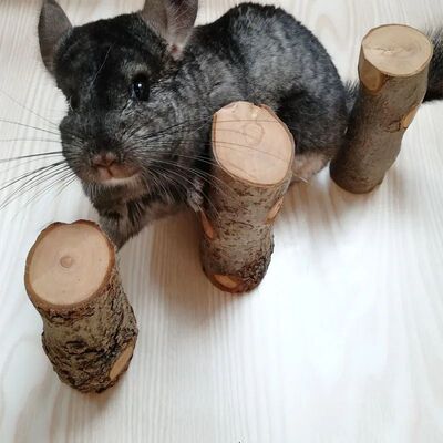 Pet Hamster Toy Natural Apple Tree Branch Teeth Grinding Pla