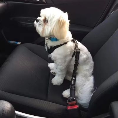 Hot pet supplies Car seat belt dog traction seat belt cushio
