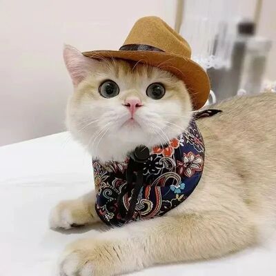 Pet Hat Dog Cat Western Cowboy Hat Halloween Pet Outdoor Cap