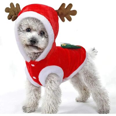 Pet Dog Clothes Autumn Keeps Warm in Winter Flannel Festive