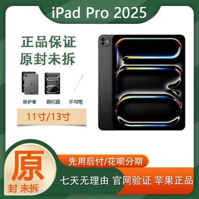 Apple/苹果 11 英寸 iPad Pro (2025)