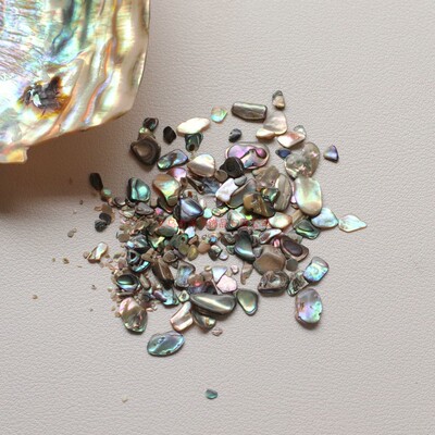 美甲鲍鱼碎石鲍鱼贝壳片日系指甲