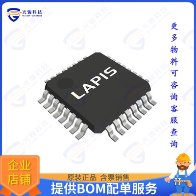 ML22Q664-NNNTBZ0BX集成电路INTERNAL FLASH MEMORY TYPETHE ML