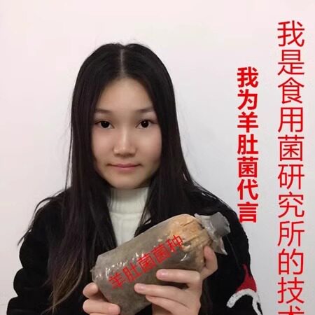羊肚菌菌种蘑菇菌种栽培种三级种家庭可种包邮送种植技术量大可谈