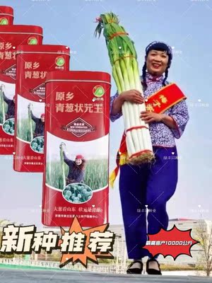 原乡青葱状元王大葱种子高巨白葱种籽抗病耐热抗寒耐涝高产大葱孑