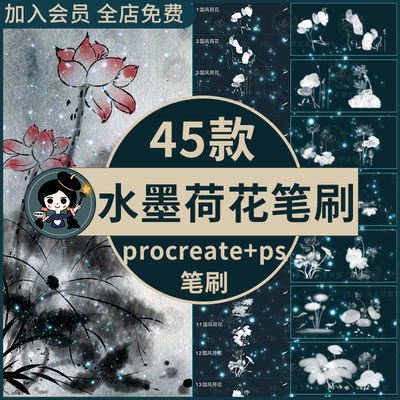 水墨国风荷花莲花花卉传统古典国画装饰插画procreate笔刷ps笔刷