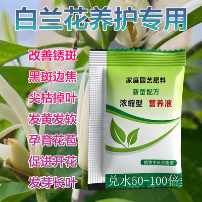 白兰花专用肥叶黑斑枯黄落叶焦尖水肥白玉黄角果兰花肥营养液肥料