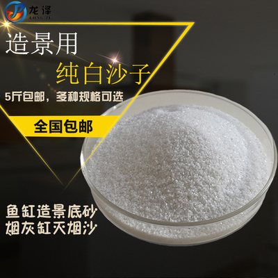 白色石英砂细沙鱼缸底砂水族造景沙烟灰缸灭烟沙沙盘造景沙白沙子