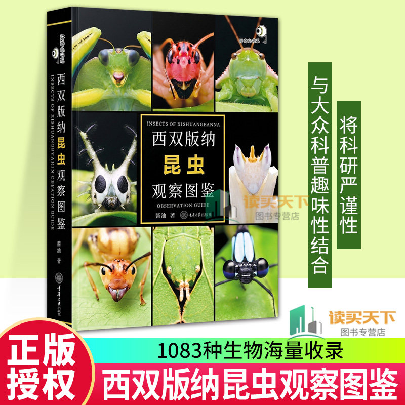 西双版纳昆虫观察图鉴 收录西双版纳地区昆虫949种 蜘蛛 蜗牛等无脊椎动物134种 为昆虫爱好者和生态摄影师提供直观参考科普读物