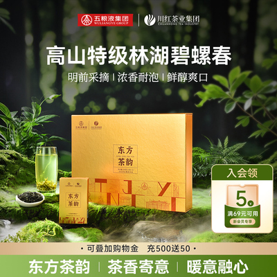 2026新茶川红特级林湖碧螺春鲜嫩茶叶礼盒东方茶韵120g中秋送礼