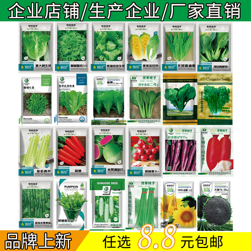 蔬菜种子生菜香菜萝卜油麦菜向日葵豆角辣椒种子四季种植阳台盆栽