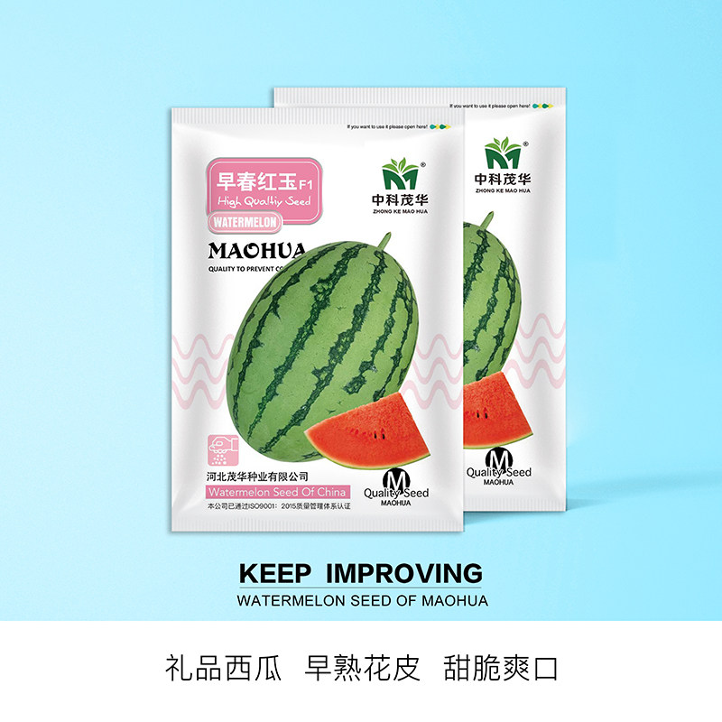 中科茂华早春红玉茂华小红玉中科金品红玉礼品西瓜种子红肉甜脆