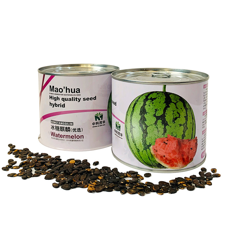 中科茂华 蔬菜种子 冰糖麒麟西瓜种子 薄皮8424麒麟種子