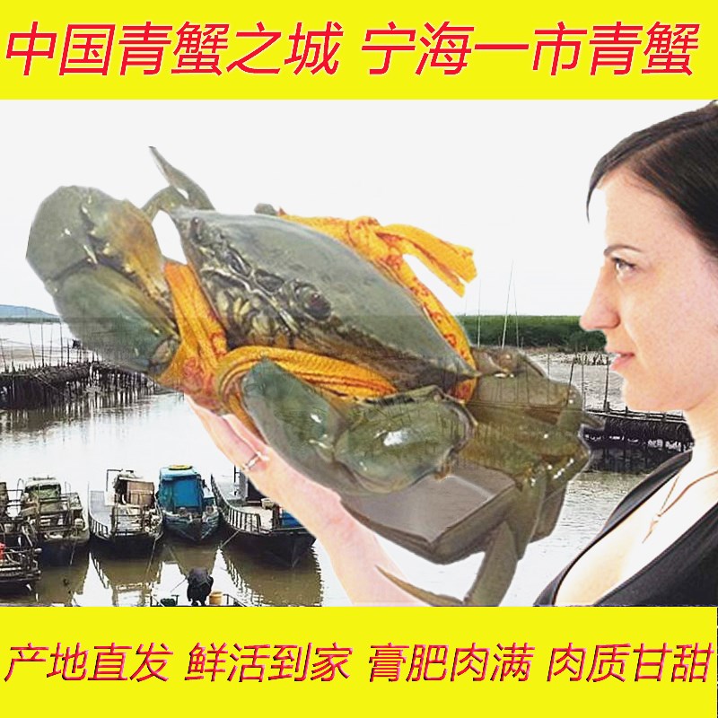 宁海特产一市青蟹野生鲜活大红膏母蟹助农水产海鲜大螃蟹淘宝爱心