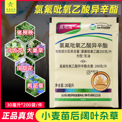 施地隆绿野除草剂氯氟吡氧乙酸