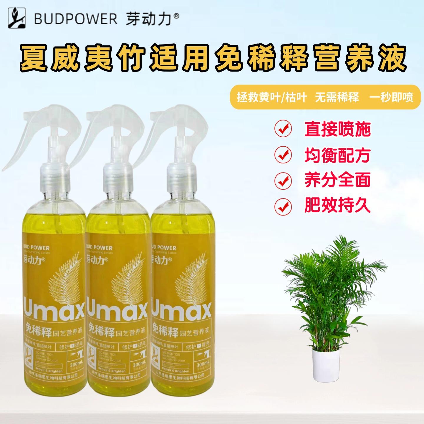 夏威夷竹椰子免稀释营养液室内阳台盆栽绿植物专用花喷施叶面肥料