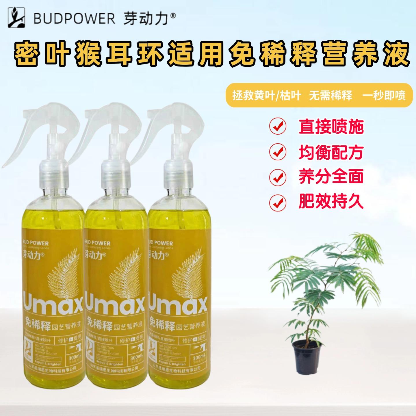 密叶猴耳环含羞树免稀释营养液室内盆栽绿植物花专用喷施叶面肥料