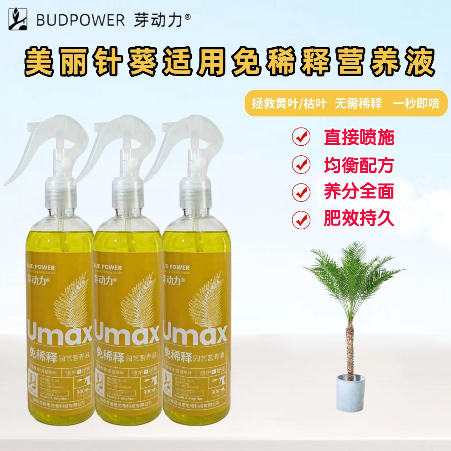美丽针葵泰国椰子树刺免稀释营养液老桩盆栽绿植专用喷施叶面肥料