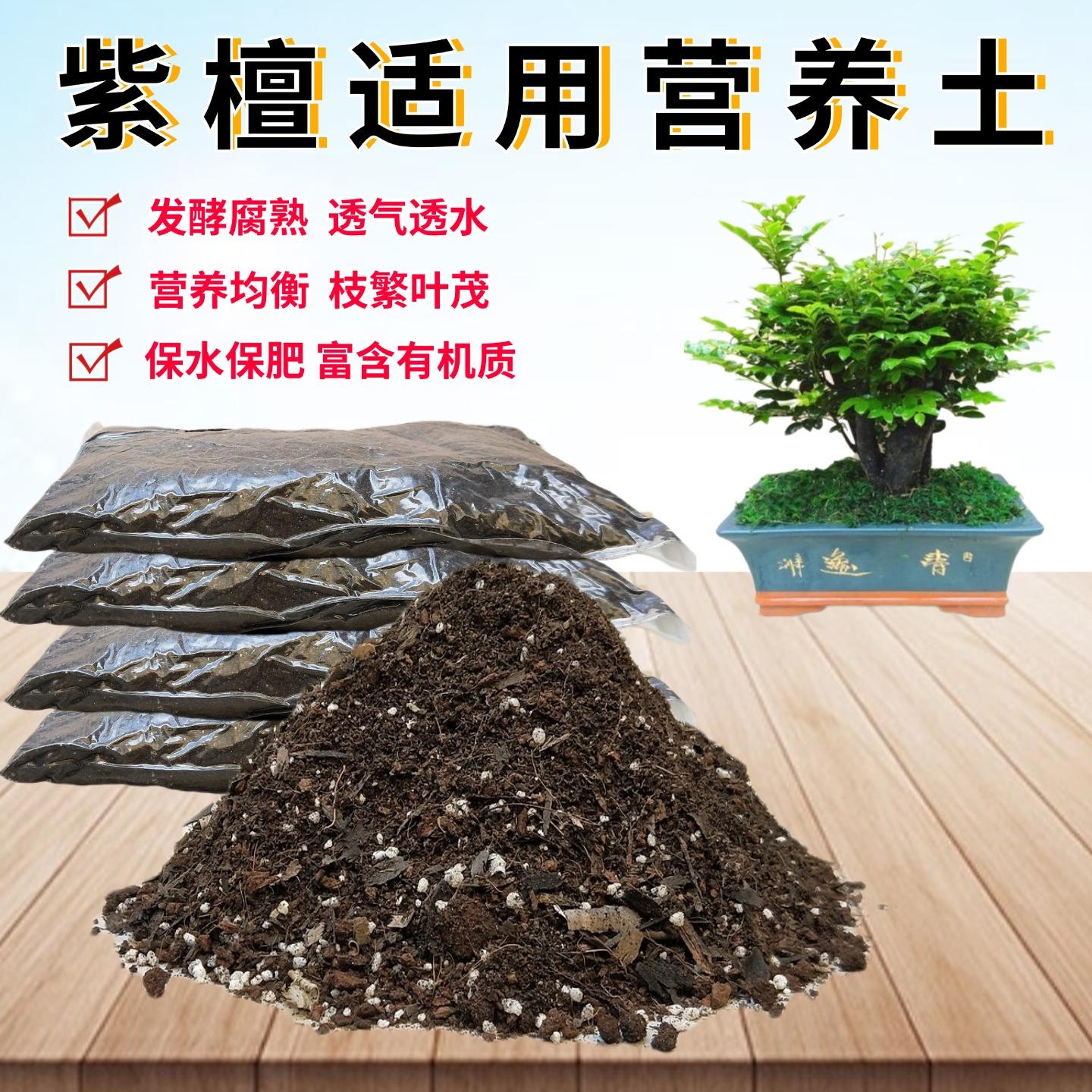 小叶紫檀营养椰糠土室内阳台老桩家盆景绿植物专用翻换种植土透气