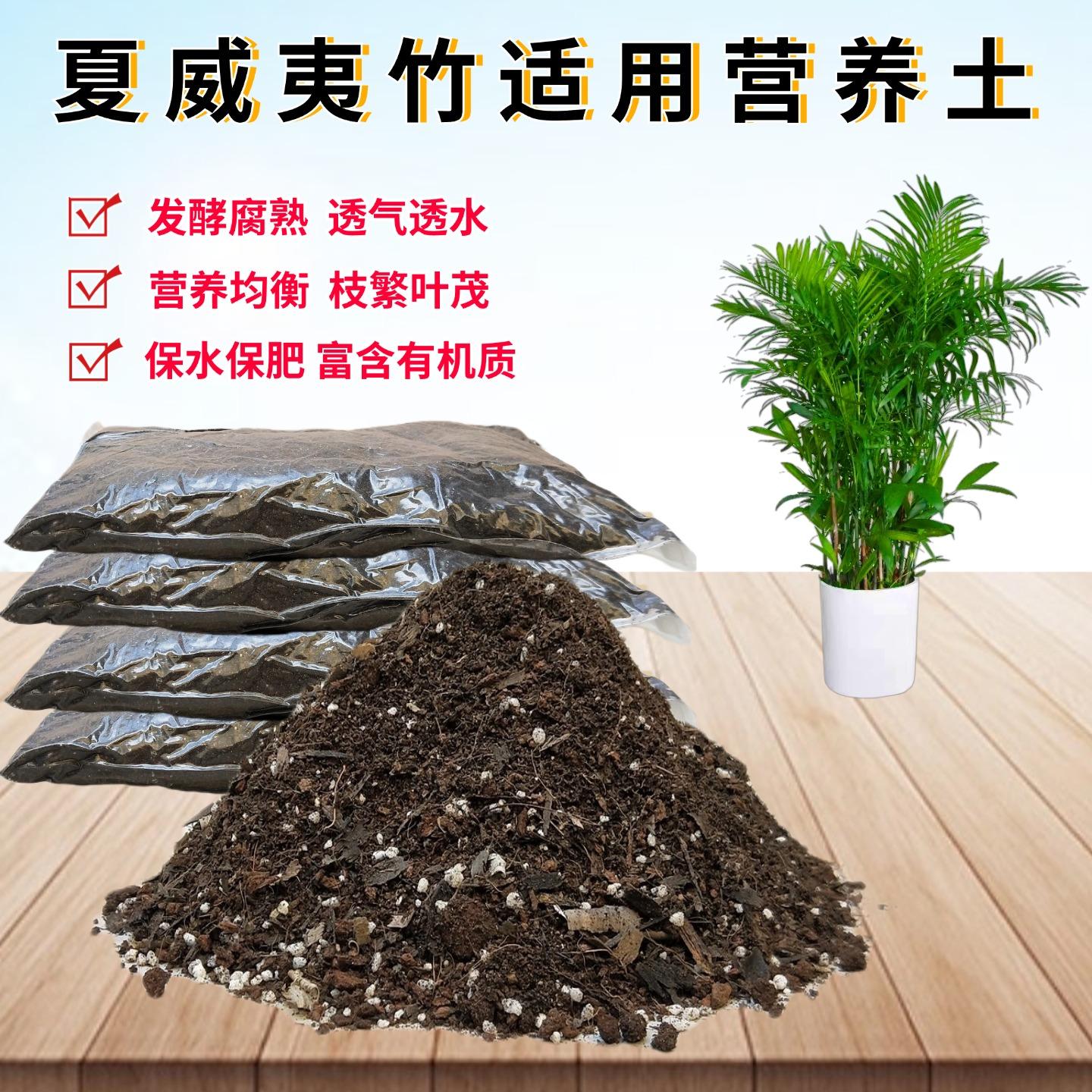 夏威夷竹椰子营养椰糠土庭院室内阳台盆栽绿植专用翻换种植土透气