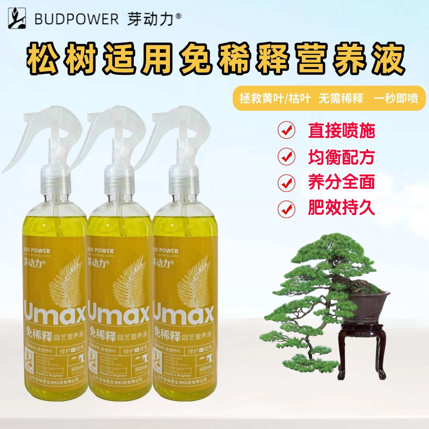 日式松树五针松黑松免稀释营养液家盆景栽绿植物专用喷施叶面肥料