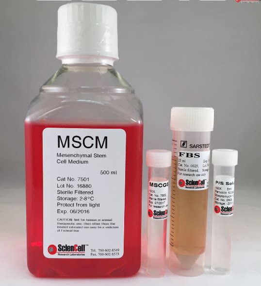 Sciencell原装7501 MSCM间充质干细胞培养基Mesenchymal StemCell
