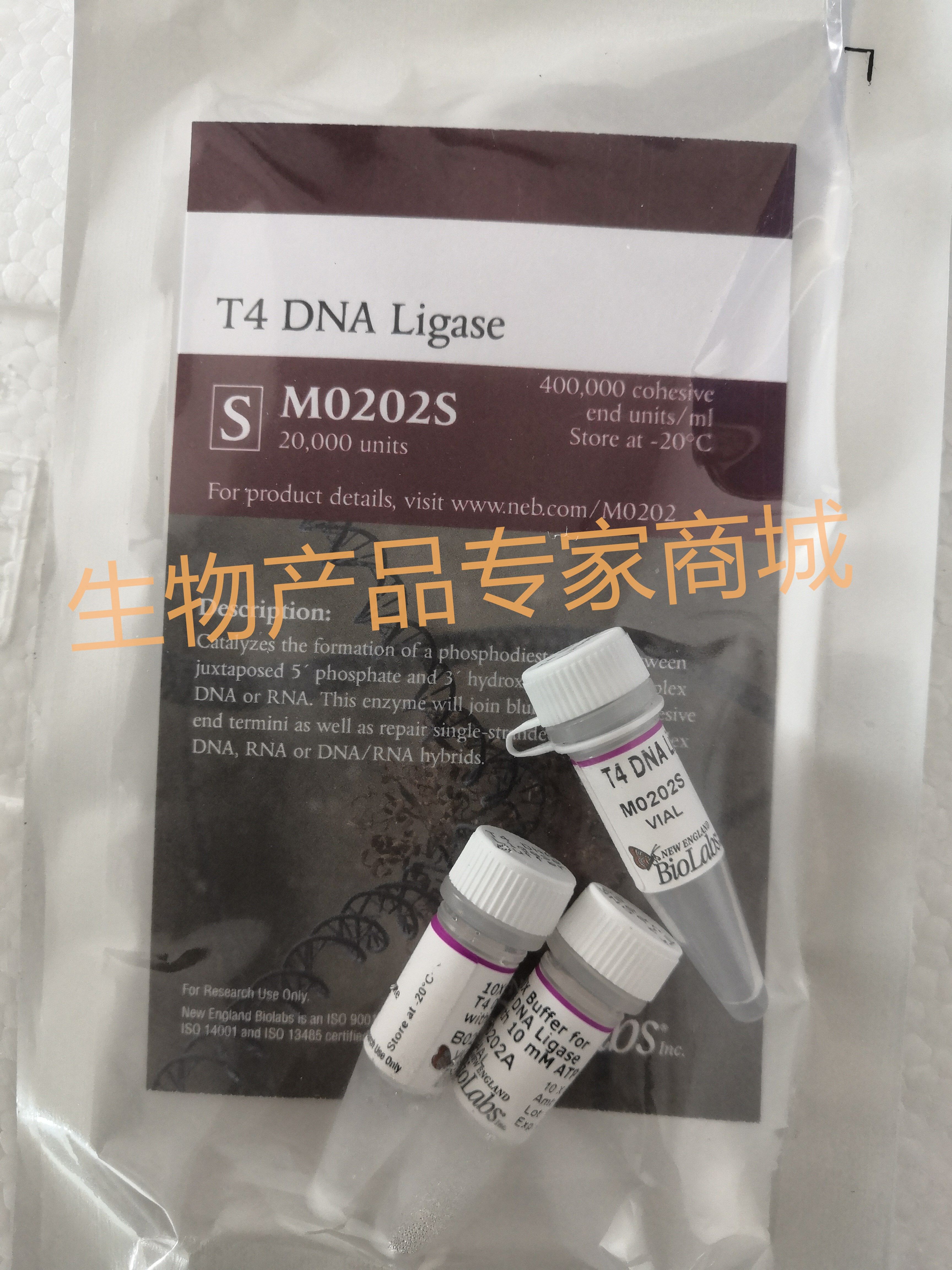 原装现货NEB T4 DNA 连接酶Ligase M0202V S L T M