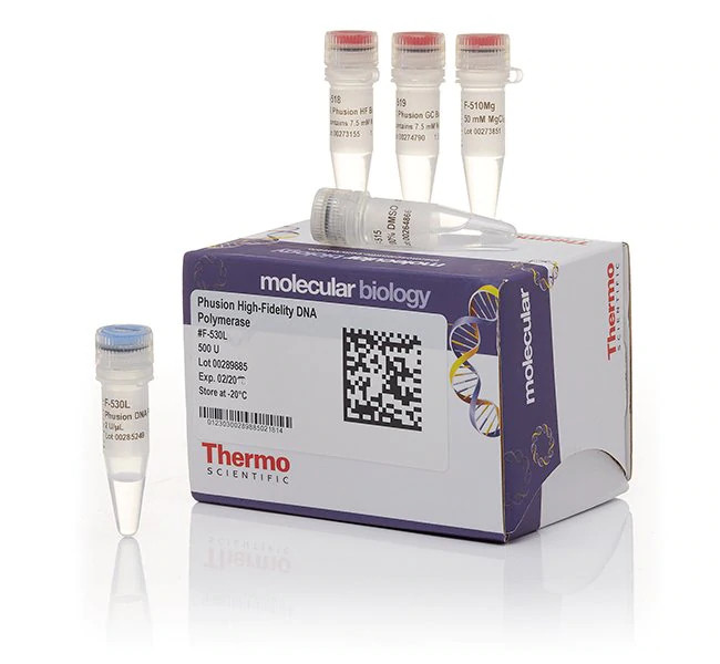 Thermo F530S  Phusion高保真DNA聚合酶 (2 U/µL) F530L
