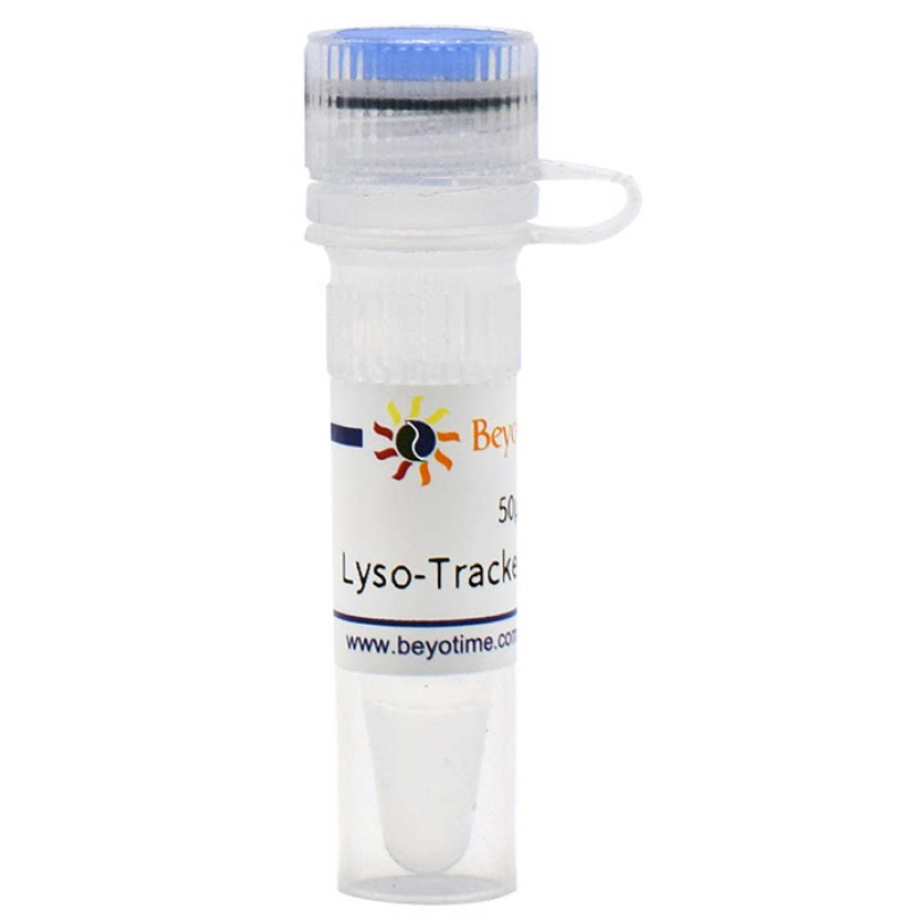 碧云天 C1046 Lyso-Tracker Red 溶酶体红色荧光探针 50μl