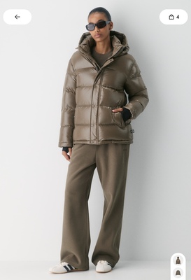 aritzia加拿大正品女士常规五格亮面连帽羽绒服鹅绒800蓬可拆卸帽