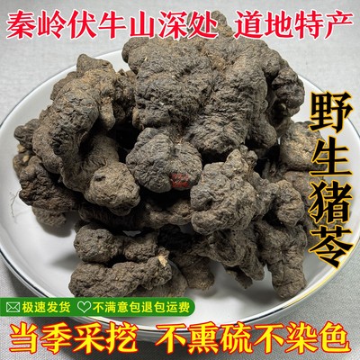 秦岭伏牛山野生猪苓天然正品 猪苓片 猪苓汤 猪苓粉