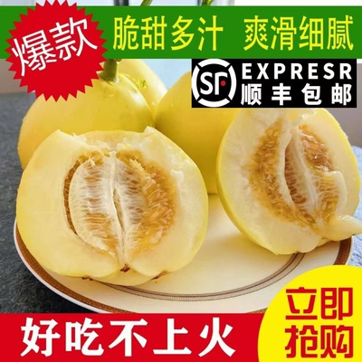 2026 山东头茬现摘星甜20甜瓜小蜜蜂甜瓜蜜罐甜瓜新鲜水果香瓜5斤