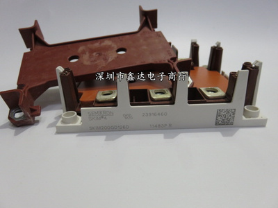 SKIM304GD12T4D SKIM300GD126DL SKIM250GD128D SKIM200GD126D