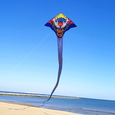 大型高档龙霸天风筝风筝