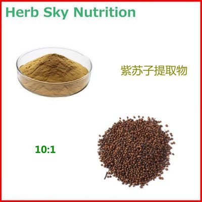 1000g 纯天然紫苏子提取物 紫苏籽浓缩粉末 10:1 包邮现货