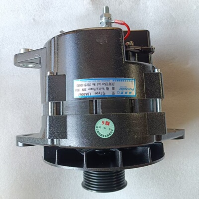  佩特来LBA3067发电机  8SC3096UC发电机 8RG3078发电机28V110A