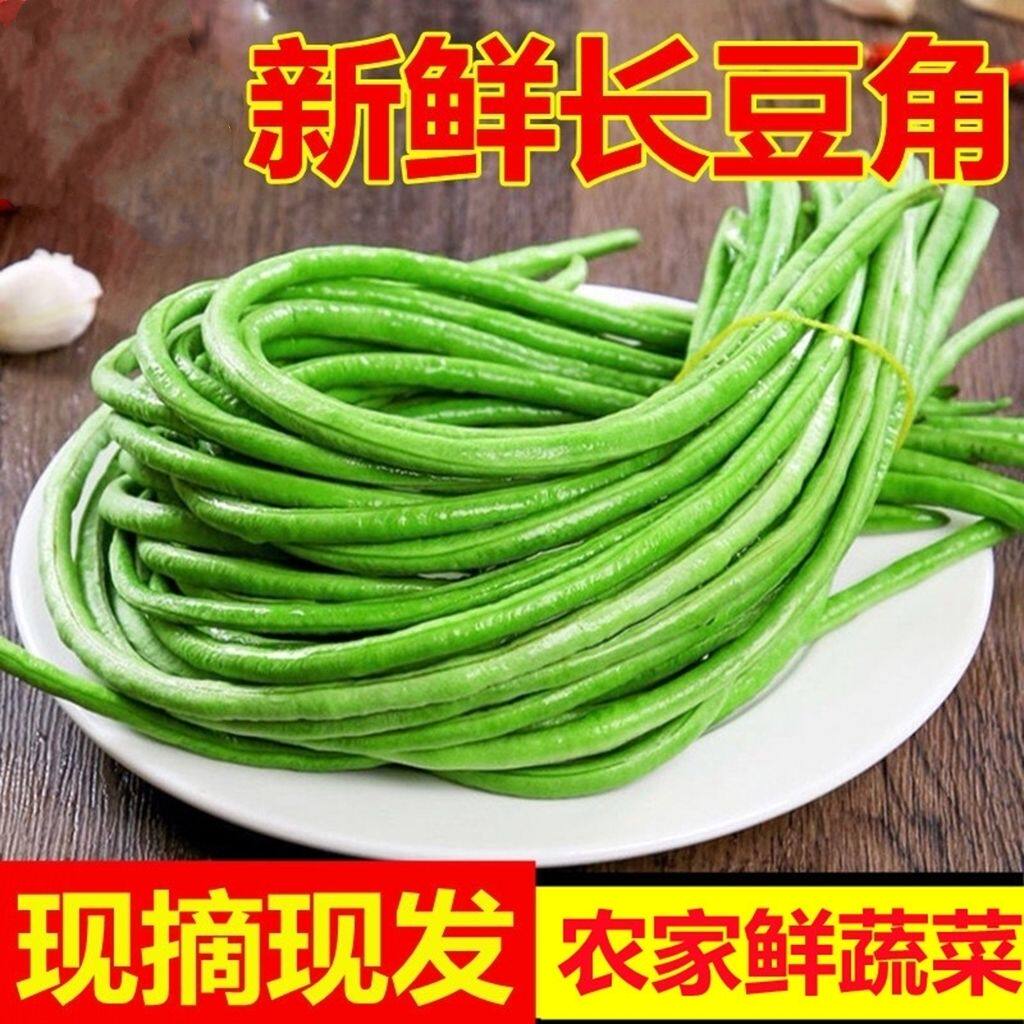 豇豆新鲜长豆角农家自种嫩豇豆1-4斤绿色时令蔬菜四季长豆角泡菜