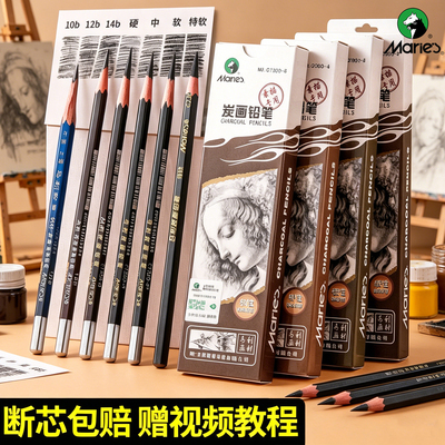 马利素描铅笔初学者炭笔美术生专用2b工具套装笔4b绘画6b8b14b碳笔软中硬绘图美术用品速写马力牌12b画画HB2H