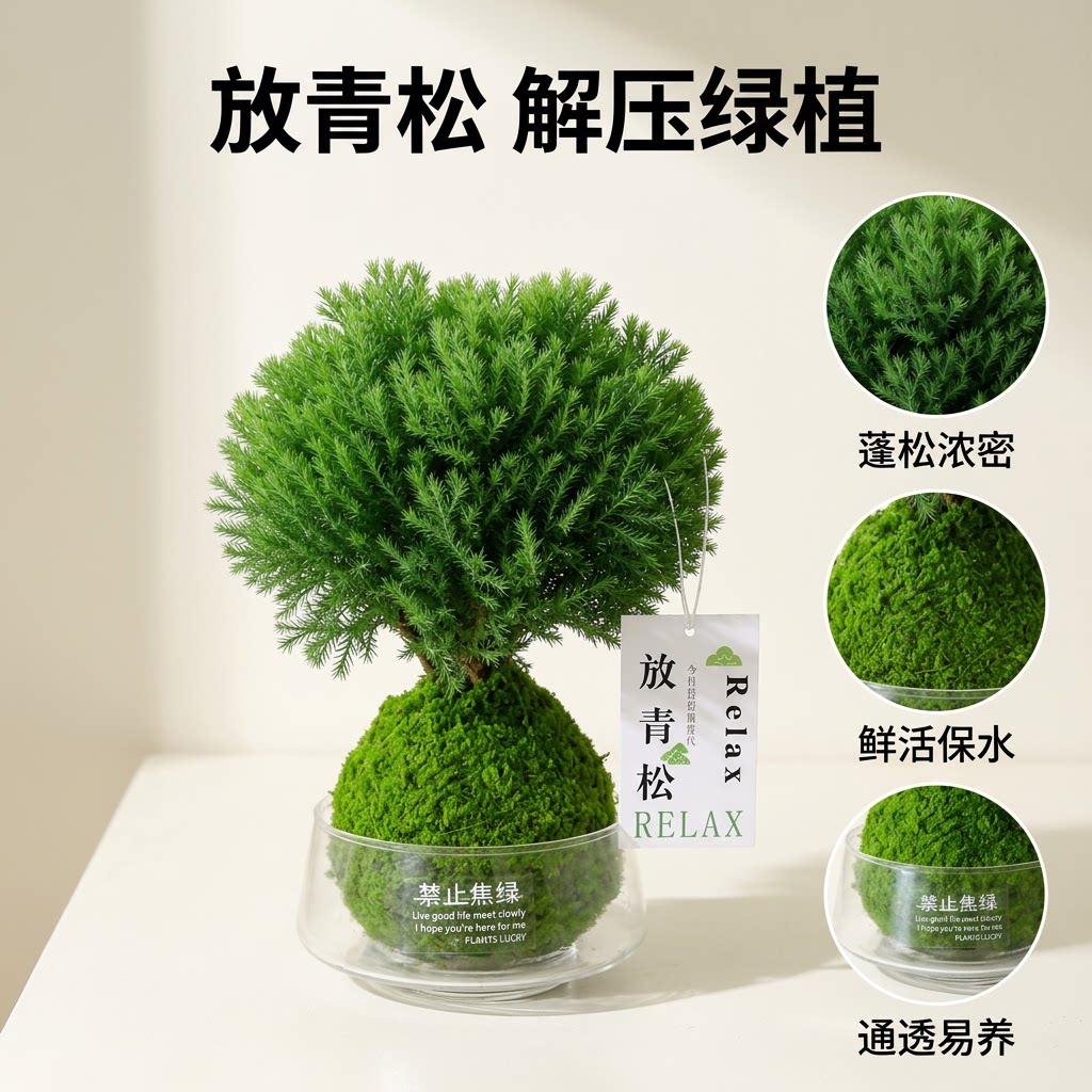 放青松雾淞苔藓球桌面工位观叶解压水培绿植盆栽