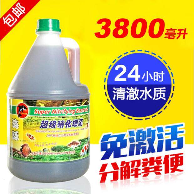包邮3.8升大桶海豚硝化细菌硝化活菌硝化菌水质澄清剂安定剂净水