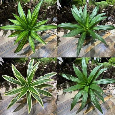 手感过胶把束仿真绿植巴西叶