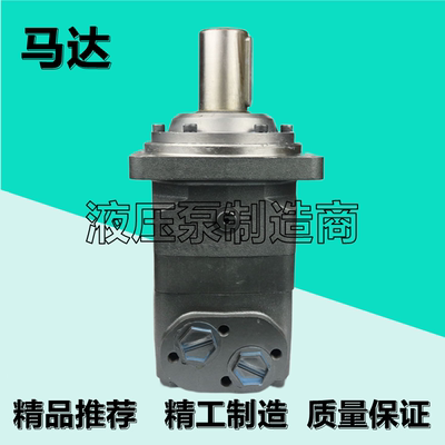 丹佛斯OMT/SW315/24968摆