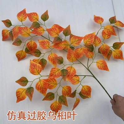 仿真菩提叶乌桕叶假菩提树叶子过胶手感树叶白蜡叶绿植假植物