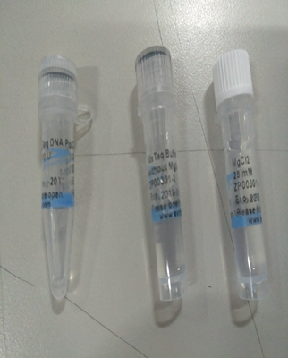 试剂 热启动Taq 酶 金牌酶 Hot Start Taq DNA Polymerase