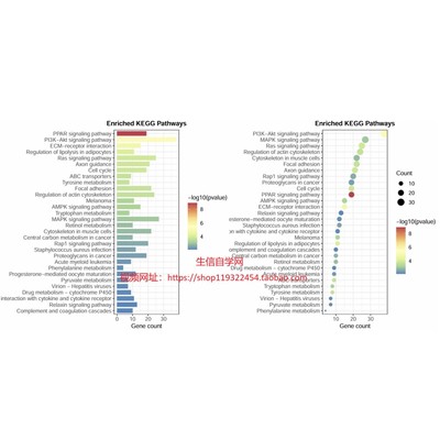 火山图韦恩图朱楼花图气泡图R语言作图基因差异表达分析