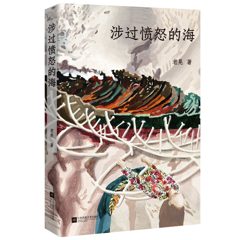 涉过愤怒的海 老晃著同名电影原著小说 影视同期书 浮冰 鹈鹕小姐三部中篇小说故事 现当代文学随笔影视小说畅销正版