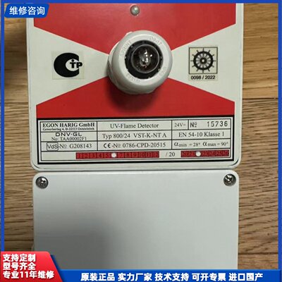 FLAMTRON UV-Flame Detector火焰探测