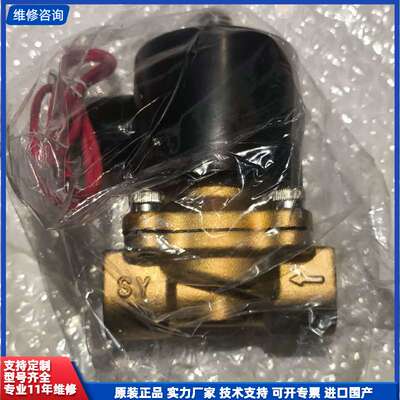 SENYA森亚电磁阀，型号2W-160-15，AC220V，