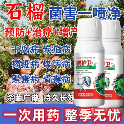 石榴病全管石榴专用杀菌剂干腐病炭疽病褐斑病煤污病黑霉病干枯病
